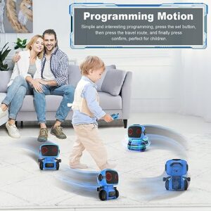 Dandist Robot Toys for Boys & Girls, Remote Control Robot for Kids, Auto-Demonstration, Talkie, and Programming Functions, Flexible Arms, Dance, Music, Big Eyes Toys for Boys 4-6 8-12