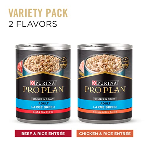 Purina Pro Plan Specialized Large Breed Chicken and Rice and Beef and Rice in Gravy 12ct High Protein Wet Dog Food Variety Pack - (12) 13 oz. Cans