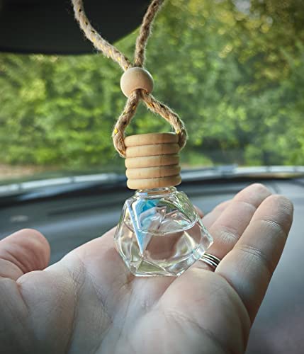 Hanging Fragrance Diffuser (Apple & Cinnamon) | Cute Car Accessory | Long-Lasting Scent | Air Deodorizer, Freshener