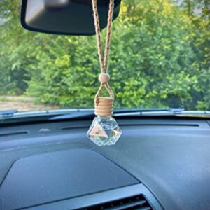 Hanging Fragrance Diffuser (Apple & Cinnamon) | Cute Car Accessory | Long-Lasting Scent | Air Deodorizer, Freshener