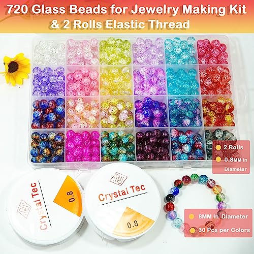 720pcs Glass Beads for Jewelry Making, 24 Color 8mm Crystal Crackle Glass Beads for Bracelets Making Gemstone Loose Spacer Beads for DIY Craft Friendship Necklace Earring Jewelry Making (8mm Crackle)