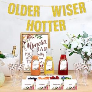 Older Wiser Hotter Glitter Banner,Gold Glitter Fun Birthday Party Decorations Happy Birthday Party Supplies for 30th 40th 50h 60th 70th 80th Birthday Party Decorations