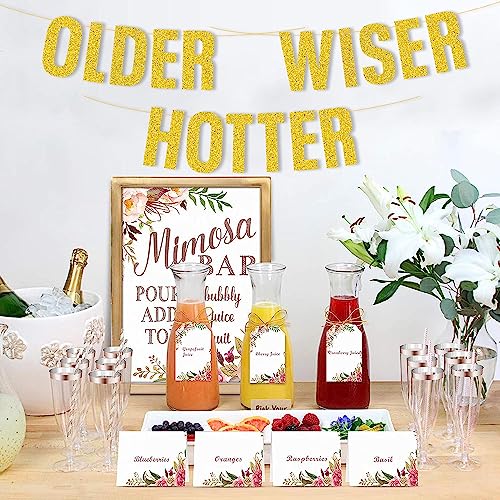 Older Wiser Hotter Glitter Banner,Gold Glitter Fun Birthday Party Decorations Happy Birthday Party Supplies for 30th 40th 50h 60th 70th 80th Birthday Party Decorations