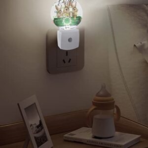 Night Light Plug into Wall, LED Nightlights Easter Green Truck Pull Rabbits Eucalyptus Leaves Wreath Small Nightlight Auto Dusk-to-Dawn Sensor Lamp LED Night Lights for Kid's Bedroom, Bathroom