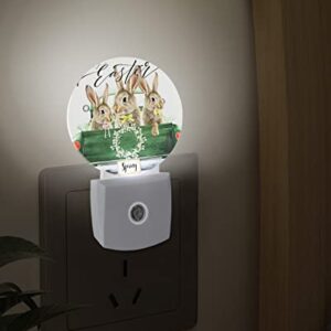 Night Light Plug into Wall, LED Nightlights Easter Green Truck Pull Rabbits Eucalyptus Leaves Wreath Small Nightlight Auto Dusk-to-Dawn Sensor Lamp LED Night Lights for Kid's Bedroom, Bathroom