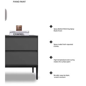 Modern Nightstand Solid Wood and Carbon Steel Frame Bedside Table W/ 2 Drawers Minimalist End Side Table for Bedroom Living Room