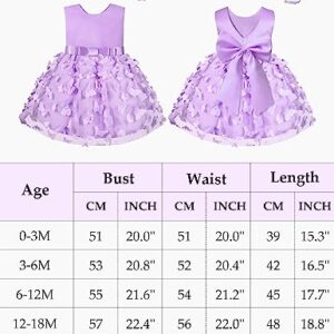 Qaoerde Baby Flower Girl Dresses 1st Birthday Outfit Girl Flower Girl Dress for Wedding Birthday Baptism Special Occasion Dress Violet