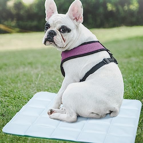 eYourlife2012 2 Pack Dog Cooling Mat Pet Self Cooling Pad Blanket Summer Dog Kennel Pet Ice Pad Sleeping Cool Mat Cooling Gel Pad for Dogs Cats Sleeping Mat Dirt-Resistant Cool Feeling Ice Nest