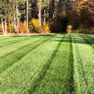 10-0-20 Emerald Lawn Fertilizer - 45% XCU Slow-Release, 10% Iron and GreenTRX Bios (1 Bag Covers up to 5,000 sq. ft.)