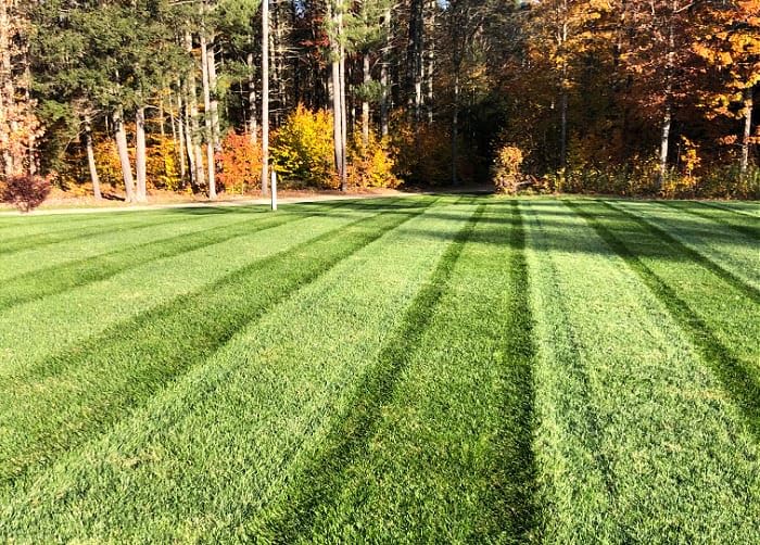 10-0-20 Emerald Lawn Fertilizer - 45% XCU Slow-Release, 10% Iron and GreenTRX Bios (1 Bag Covers up to 5,000 sq. ft.)