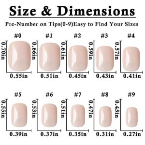 AddFavor 240pcs Press on Nails Short Square Fake Nails Glossy Full Cover Acrylic Artificial Glue on Nails Kit for Women and Girls, Jelly Nude Nails