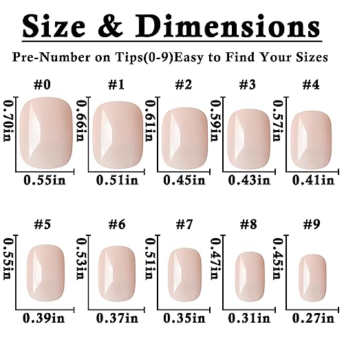 AddFavor 240pcs Press on Nails Short Square Fake Nails Glossy Full Cover Acrylic Artificial Glue on Nails Kit for Women and Girls, Jelly Nude Nails