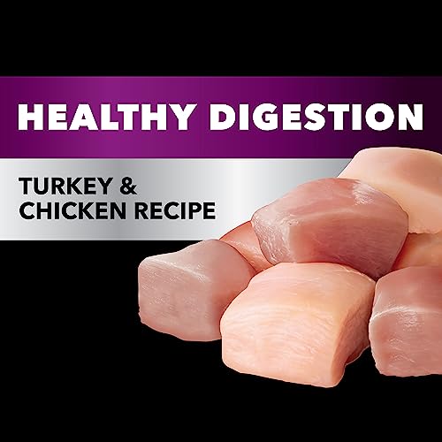 IAMS Advanced Health Healthy Digestion Turkey and Chicken Recipe Adult Dry Cat Food, 7 lb. Bag