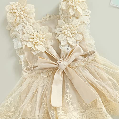 Princess Newborn Baby Girls Rompers Birthday Dress Mesh Elegant Sleeveless Jumpsuits Tulle Dress Headband Outfits (Apricot-Princess, 0-3 Months)