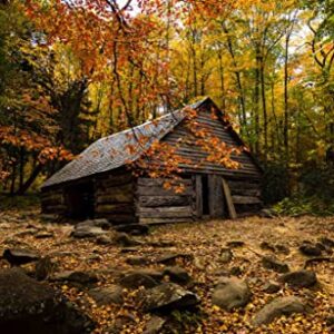 Country Photography Print (Not Framed) Picture of Old Barn Surrounded by Fall Foliage on Autumn Day in Great Smoky Mountains Tennessee Rustic Wall Art Cabin Lodge Decor (8" x 10")