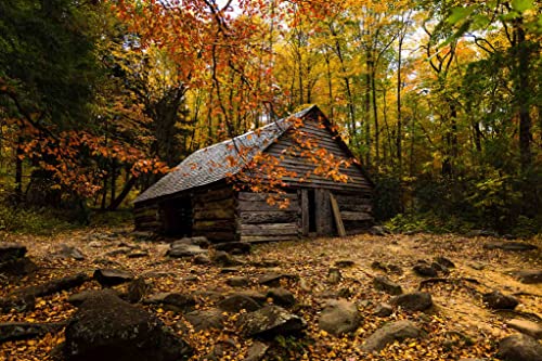 Country Photography Print (Not Framed) Picture of Old Barn Surrounded by Fall Foliage on Autumn Day in Great Smoky Mountains Tennessee Rustic Wall Art Cabin Lodge Decor (8" x 10")