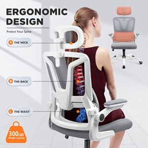 Soontrans Ergonomic Office Chair with Lumbar Support Pillow, Mesh Office Chair with Headrest & Adjustable Arms, Rocking Office Desk Chair, Comfortable Ergonomic Chair - Dark Grey