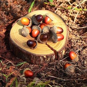 Cshangzei 200PCS Mini Artificial Acorns,Bulk Fake Acorn with Natural Cap Lifelike for Fall Thanksgiving Halloween Decoration,Wedding Decor,Vase Filler,DIY Crafts