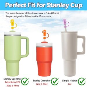 Stanley Straw Cover, 6Pcs Silicone Straw Covers for Reusable Straws, Straw Covers Cap for Stanley Cup 30&40 oz, Straw Toppers for Simple Modern Tumblers, 10mm Straw Tip Covers, Stanley Cup Accessories