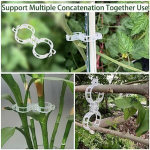 LOIKUIE 210 Pcs Tomato Clips, Plant Clips for Vines, Plastic Trellis Clips - Support Clips for Climbing Plants, Cucumbers, Peppers, Grape Vines and Vegetables