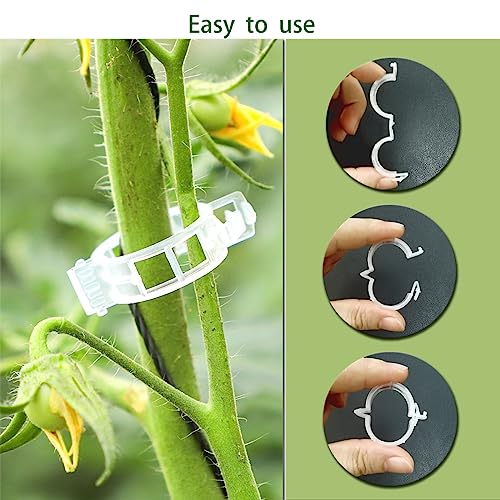 LOIKUIE 210 Pcs Tomato Clips, Plant Clips for Vines, Plastic Trellis Clips - Support Clips for Climbing Plants, Cucumbers, Peppers, Grape Vines and Vegetables