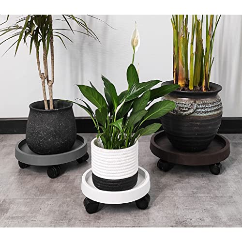 Plant Caddy Plants Mobile Base Plant Caddy Plant Tray on Wheels Plant Pot Base Can be Used in Office, Living Room, Balcony, Patio or Garden Flowerpot Tray (Color : Gray, Size : 22cm)