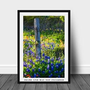 Country Photography Print (Not Framed) Vertical Picture of Fence Post Surrounded by Bluebonnets on Spring Day in Texas Wildflower Wall Art Farmhouse Decor (5" x 7")