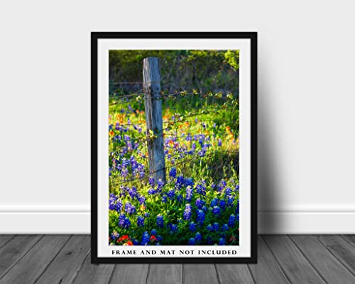 Country Photography Print (Not Framed) Vertical Picture of Fence Post Surrounded by Bluebonnets on Spring Day in Texas Wildflower Wall Art Farmhouse Decor (5" x 7")