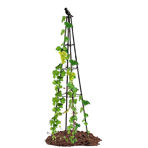 OTOSUNNY Trellis for Climbing Plants, 4 ft Tall 4-Stake with 3-Tier Braces Plant Pot Trellis, Metal Rose Garden Trellis for Climbing Plants Outdoor Vegetable|Flower|Vine Potted Plants, 1 Pack, Black