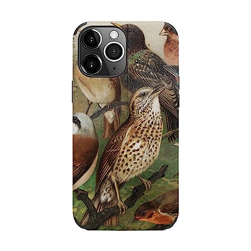 HMLTD Retro Bird Pattern iPhone 13 Case Silicone Shockproof Colorful TPU Scratch-Resistant Slim Protective Shell