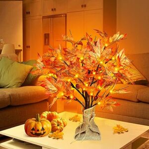 FastDeng 1.5ft Lighted Maple Tree, Artificial Fall Tree Light, Timer 36 LED Light, 72 Leaves, 6 Acorns Autumn Tabletop Tree Battery Operated for Indoor Fall Harvest Home Decor, Thanksgiving Decoration