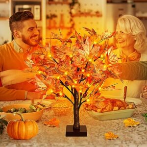 FastDeng 1.5ft Lighted Maple Tree, Artificial Fall Tree Light, Timer 36 LED Light, 72 Leaves, 6 Acorns Autumn Tabletop Tree Battery Operated for Indoor Fall Harvest Home Decor, Thanksgiving Decoration