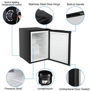 Winado Upright Freezer, 2.1 Cu.ft Mini Freezer, Stainless Steel Compact Upright Freezer w/Reversible Single Door, Removable Shelves for Home, Dorms, Apartment, Office