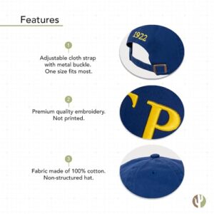 Sigma Gamma Rho Baseball Hat Brimmed Embroirderd Hats Cap Adjustable Cloth Strap Adult (Style 1) Blue