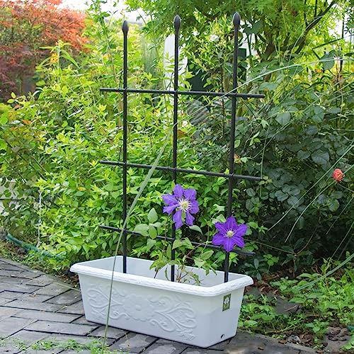 Garden Trellis, Plant Trellis for Climbing Plants Indoor Outdoor, DIY Tomatoes Cage Potted Plant Support Stakes for Vegetable, Rose, Bean, Pots, Clematis (Size : 90cm(35.4in*120cm(47.2in))