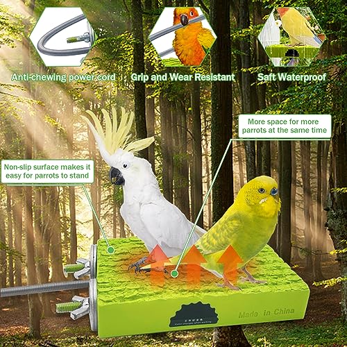 2-Pack Bird Heater for Cage Bird Warmer Snuggle-Up Perch Stand for Parrots, Small Pet Birds, Mini Macaw, Conure, African Grey, Hamsters, Chinchillas and Hedgehogs, 12V 5W