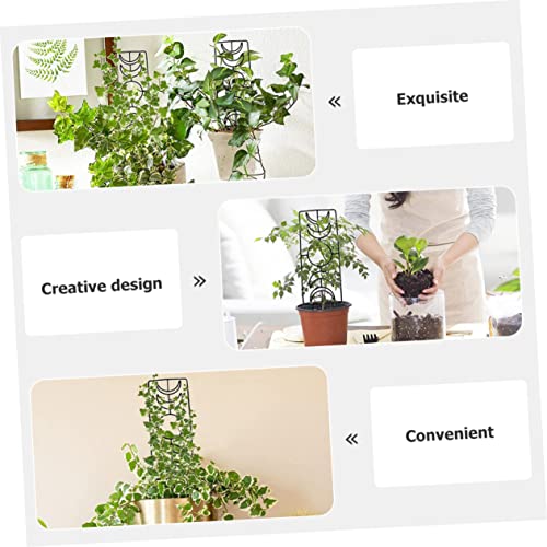 YARNOW 6 Pcs Cucamelon Plants Floral Vines Green Roses Trellis for Climbing Plants Outdoor Plant Vine Trellis Plant Grow Potted Plants Climbing Holder Orchid Climbing Rack Garden Supplies