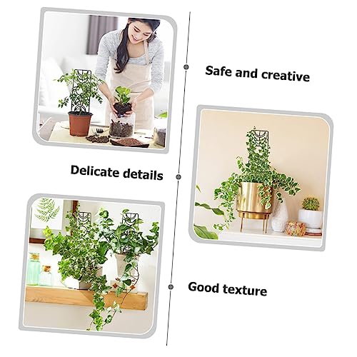 YARNOW 6 Pcs Cucamelon Plants Floral Vines Green Roses Trellis for Climbing Plants Outdoor Plant Vine Trellis Plant Grow Potted Plants Climbing Holder Orchid Climbing Rack Garden Supplies