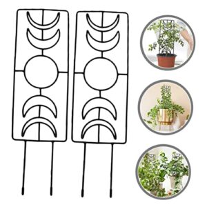 YARNOW 6 Pcs Cucamelon Plants Floral Vines Green Roses Trellis for Climbing Plants Outdoor Plant Vine Trellis Plant Grow Potted Plants Climbing Holder Orchid Climbing Rack Garden Supplies