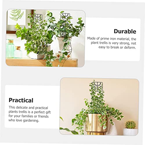 YARNOW 6 Pcs Cucamelon Plants Floral Vines Green Roses Trellis for Climbing Plants Outdoor Plant Vine Trellis Plant Grow Potted Plants Climbing Holder Orchid Climbing Rack Garden Supplies