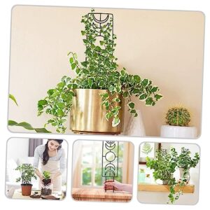 YARNOW 6 Pcs Cucamelon Plants Floral Vines Green Roses Trellis for Climbing Plants Outdoor Plant Vine Trellis Plant Grow Potted Plants Climbing Holder Orchid Climbing Rack Garden Supplies