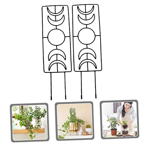 YARNOW 6 Pcs Cucamelon Plants Floral Vines Green Roses Trellis for Climbing Plants Outdoor Plant Vine Trellis Plant Grow Potted Plants Climbing Holder Orchid Climbing Rack Garden Supplies