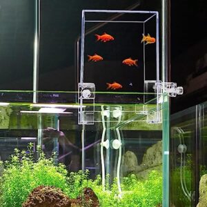 NANEEZOO Negative Pressure Fish Tank, Fish Elevator Inverted Aquarium Vacuum Fish Tower Expanded Swim Area Aquarium Decoration, Vacuum Suspended Fish Tank