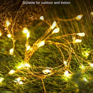 Fairy Lights Battery Operated, Twinkle String Lights Waterproof Silver Wire 5 Feet 60 Led Firecracker Starry Lights for DIY Wreath Home Wedding Party Bedroom Mason Jar Holiday Christmas, Warm White