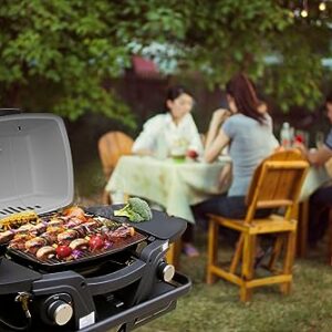 Ooiior Portable Gas Grill, Small Gas Grills Propane, Tabletop Gas Grill Outdoor Camping Grill BBQ Grill 24000 BTU with 2 Burners, Removable Side Tables, Built in Thermometer, Grey