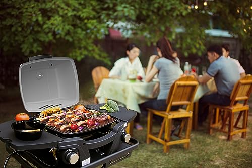 Ooiior Portable Gas Grill, Small Gas Grills Propane, Tabletop Gas Grill Outdoor Camping Grill BBQ Grill 24000 BTU with 2 Burners, Removable Side Tables, Built in Thermometer, Grey