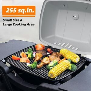 Ooiior Portable Gas Grill, Small Gas Grills Propane, Tabletop Gas Grill Outdoor Camping Grill BBQ Grill 24000 BTU with 2 Burners, Removable Side Tables, Built in Thermometer, Grey