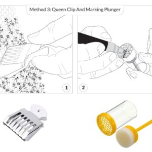 Queen Bee Marking Kit - Includes 5 Posca Marking Pens, One Handed Queen Catcher, Stainless Steel Queen Clip, Marking Plunger and Push Catcher