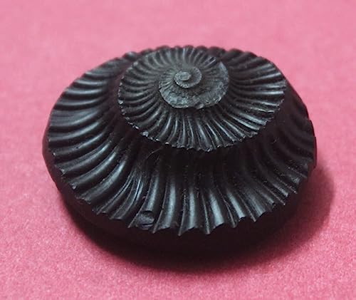 Bricker Sudarshan Shaligram from Nepal Gandaki River Chakra (Black)