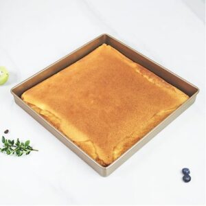 Dhjrefhhd 1Pcs Square Baking Pan Non-stick Coating Cake Baking Pan For Bread Chicken Wings Meats Cookies Cake Molds Baking Tray Golden